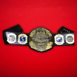 Impact World Championship Heavyweight Wrestling Title Belt - WWF ...
